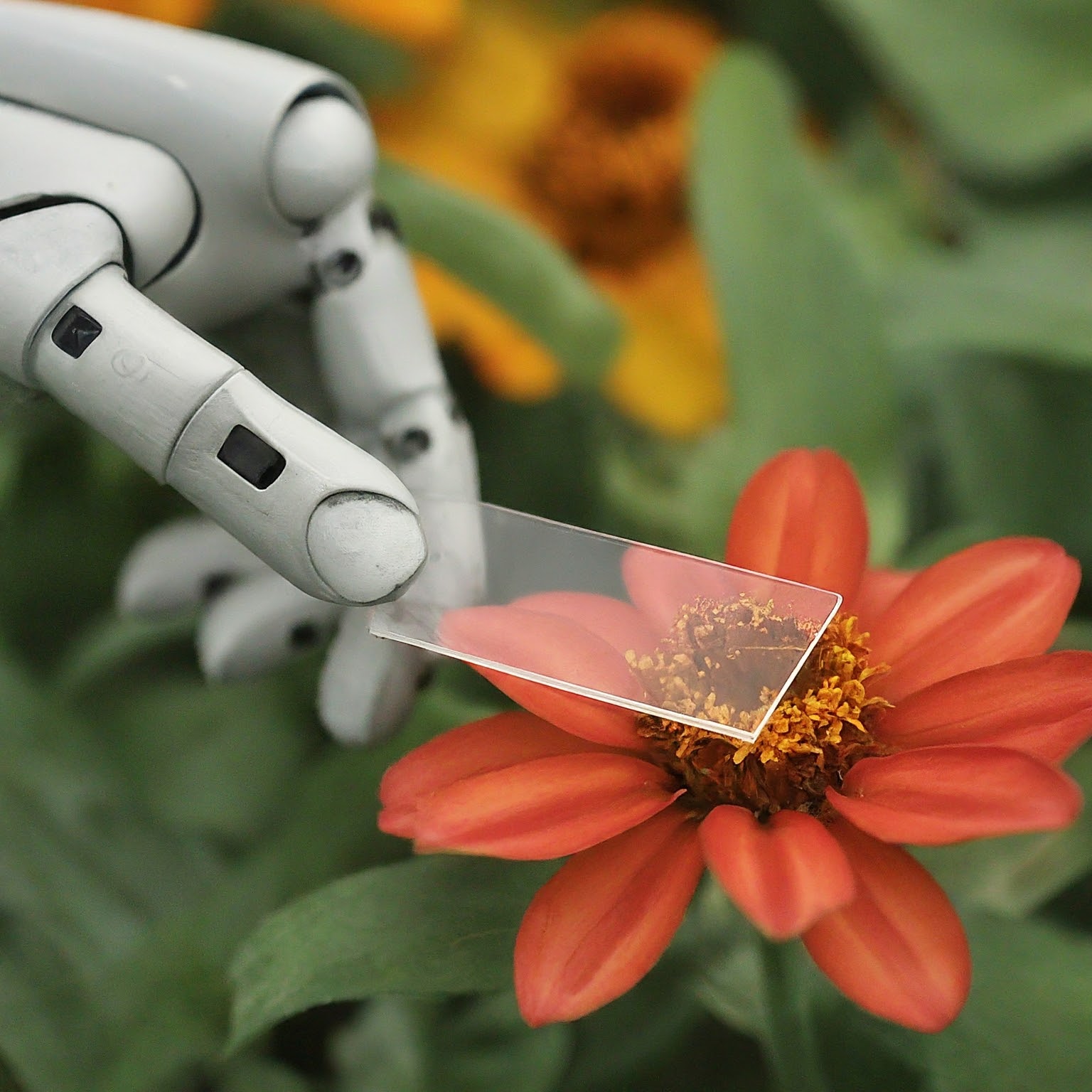 Unsubscribe - FasterLabeling